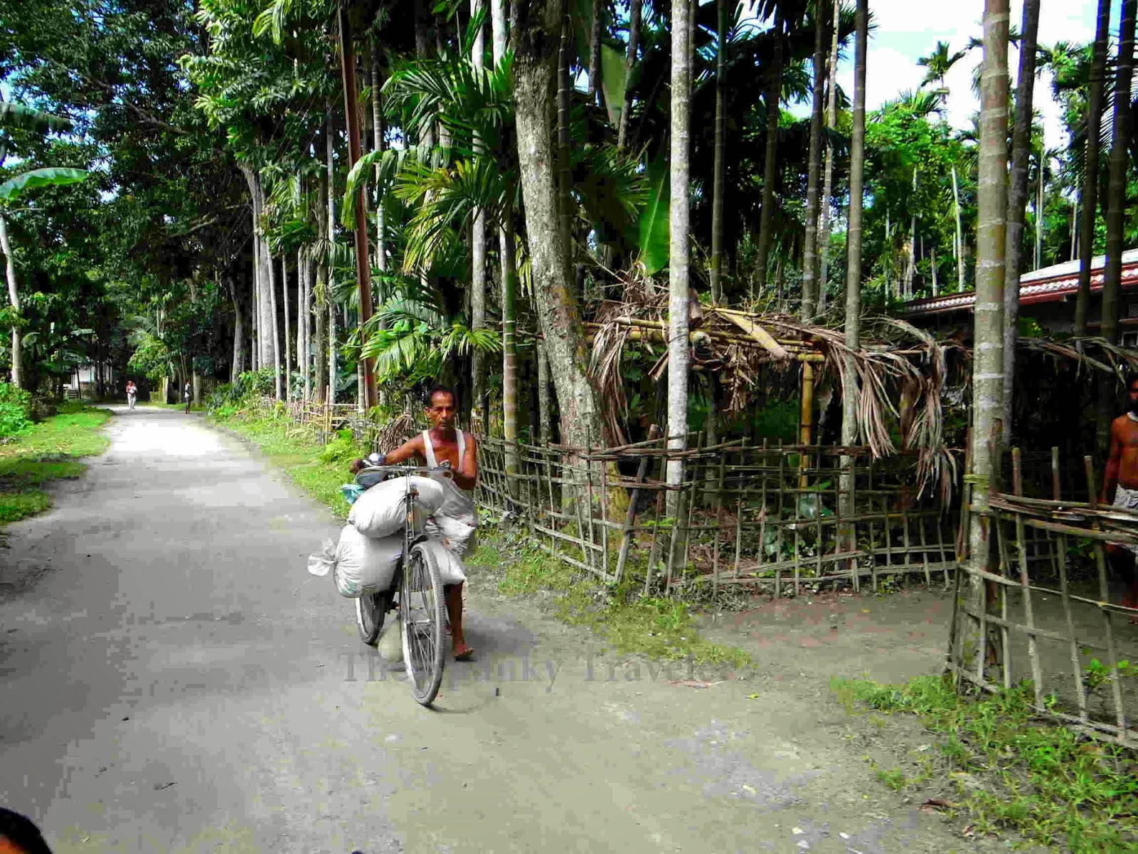 Majuli-Island-Assam – The Spunky Traveler